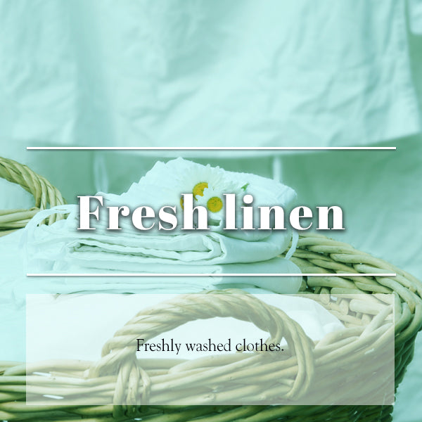 Fragrances – Lush Soy Candles